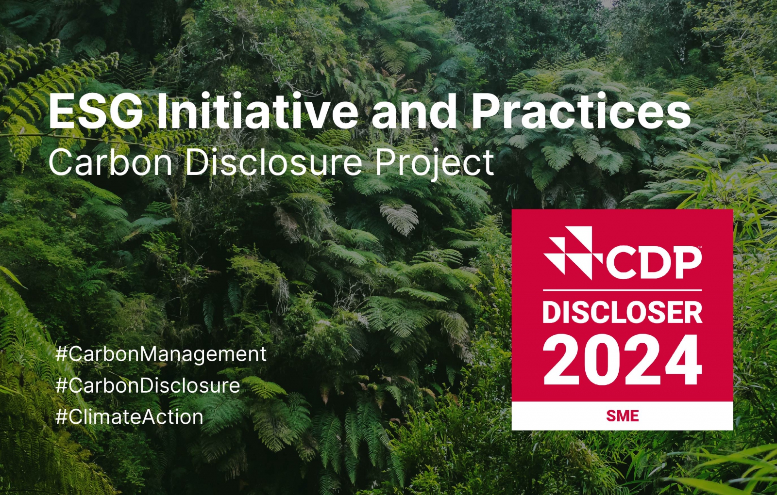 Transparency in Sustainability: Our Participation in Carbon Disclosure ...